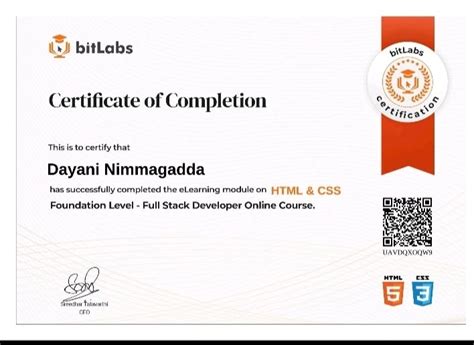 I Have Successfully Completed Html And Css From Bitlabs Dayani Nimmagadda