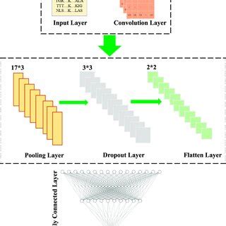 Schematic Illustration Of The Architecture Of The 2D CNN Which