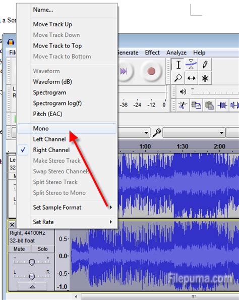 How To Remove Lyrics From A Song Filepuma Reviews