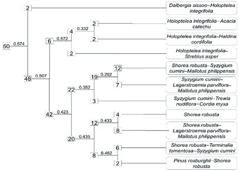 twinspan dendrogram with interpreted clusters up to the sixth level of