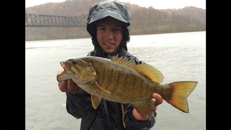 Ohio River Bass Fishing November 2016 Youtube
