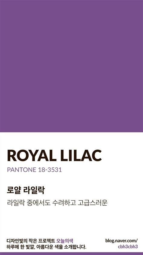 [오늘의 빛 오늘의 색] 로얄 라일락 네이버 블로그 색 이름 색 뜻 라일락