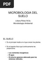 Pochonia Chlamydosporia Control De Nematodos Pdf Agua Suelo