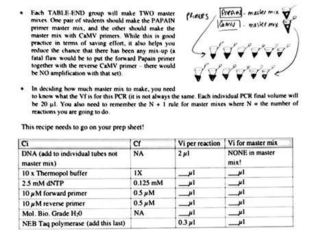 Solved Can You Explain How To Do This Chart With Steps If