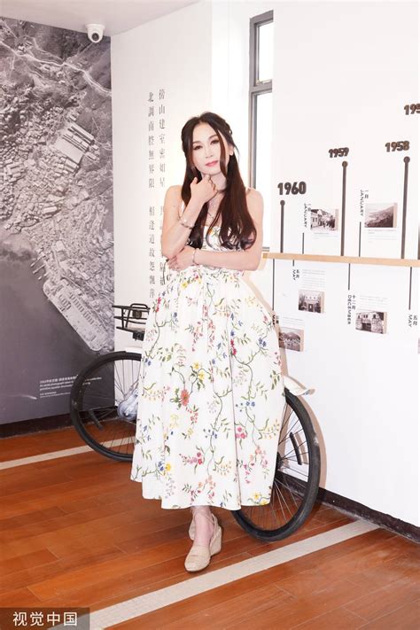 温碧霞出席电影见面会 穿碎花裙依旧充满少女感 搜狐大视野 搜狐新闻