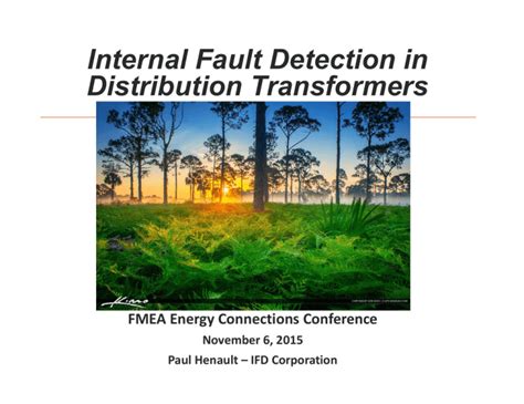 Internal Fault Detection In Distribution Transformers