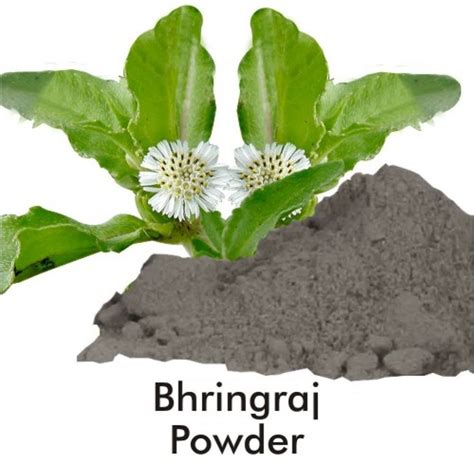Bhringraj Powder 100g Henna Trinidad