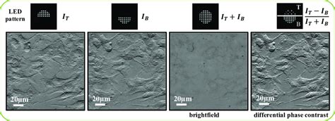 Top The Led Array Microscope Places A Programmable Source Sufficiently