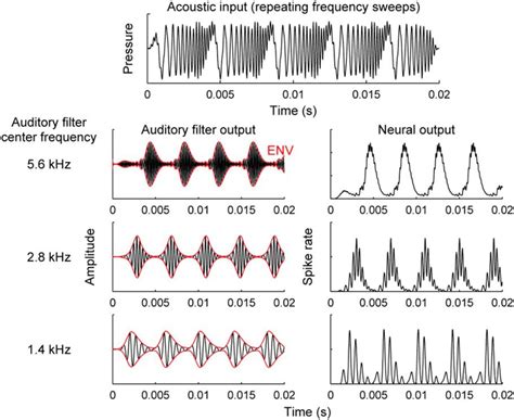 distorted tonotopic coding of temporal envelope and fine structure with