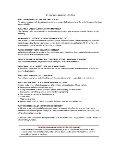 24 Hour Urine Specimen Collection Download Free Pdf Urination Urine