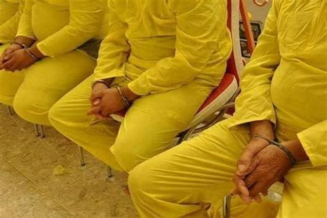 بالصور شرطة كربلاء تحكم قبضتها على عصابة تتاجر بالمواد المخدرة