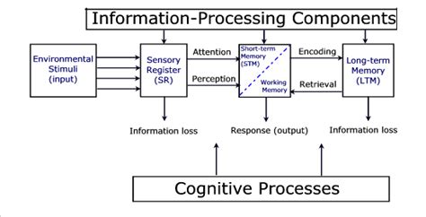 What Is The Cognition Information Processing Researchgate
