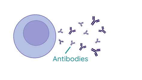 The Specific Defence System Studyclix