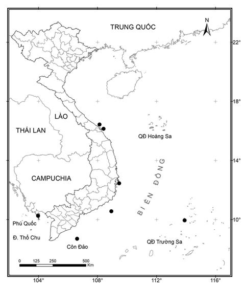 Isopora Cuneata Danh LỤc ĐỎ ViỆt Nam