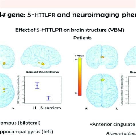 Schematic Of The 5 Httlpr Gene Nucleotide Sequence Download
