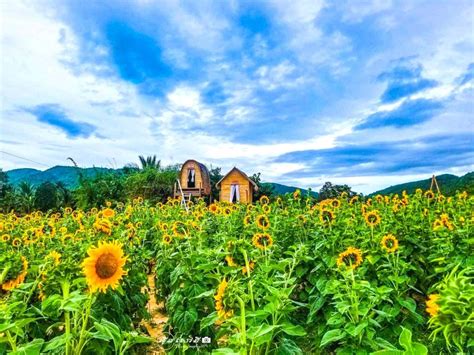 ស្ពាន យោល ចំការ ដូង ម្លិច ខេត្តកំពត
