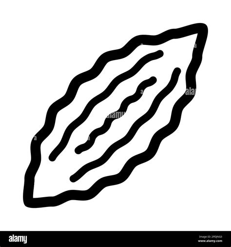 Bitter Gourd Vector Thick Line Icon For Personal And Commercial Use