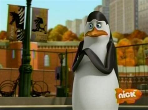 Kowalski Is So Cute Penguins Of Madagascar Photo 25739851 Fanpop