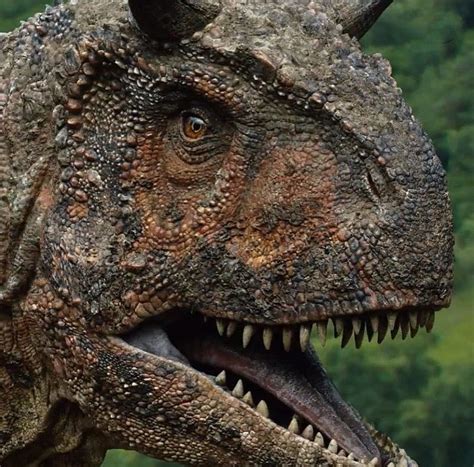 Jurassic World Fallen Kingdom Carnotaurus Jurassic Park World Hd