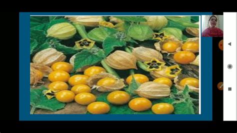 Class6hindichapter02bachpanpart227april2021 Youtube