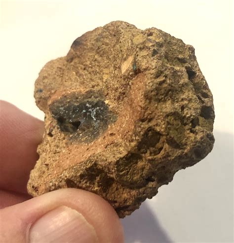 Lightning Ridge Opalised Fossils Fossil Id The Fossil Forum