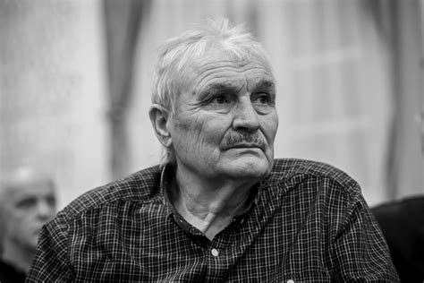 György Novath Passes Away Videoton Fc Fehérvár