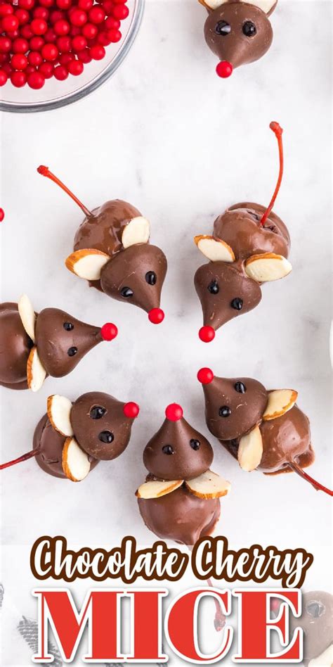 Chocolate Cherry Mice Are Arranged In The Shape Of Mouses With Cherries