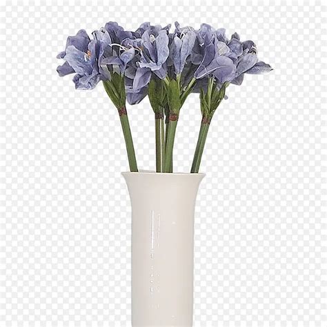 Png Png