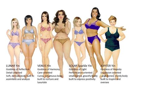 Plus Size Body Shapes Chart Body Types Women Shape Chart Beauty Style