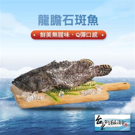新港漁會 龍膽石斑魚 600g 700g 包 2包組石斑魚鱸魚etmall東森購物網