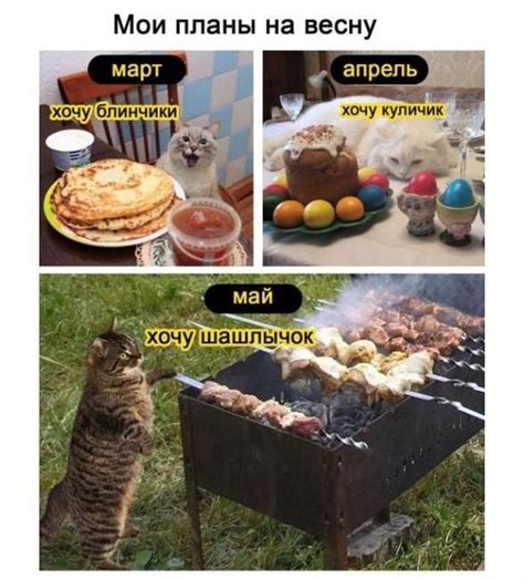 Pin Su Швидке збереження Nel 2024