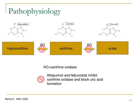 PPT Gout Update 2014 PowerPoint Presentation Free Download ID 3568663