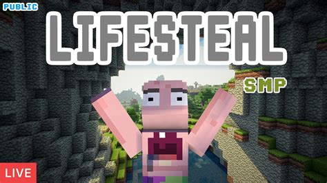 Public Lifesteal Smp Anyone Can Join Java Pe Youtube