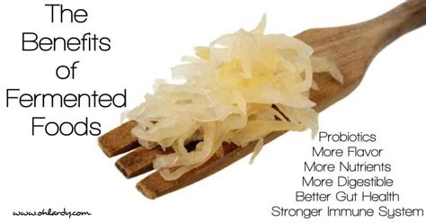 7 Benefits Of Fermented Foods Oh Lardy