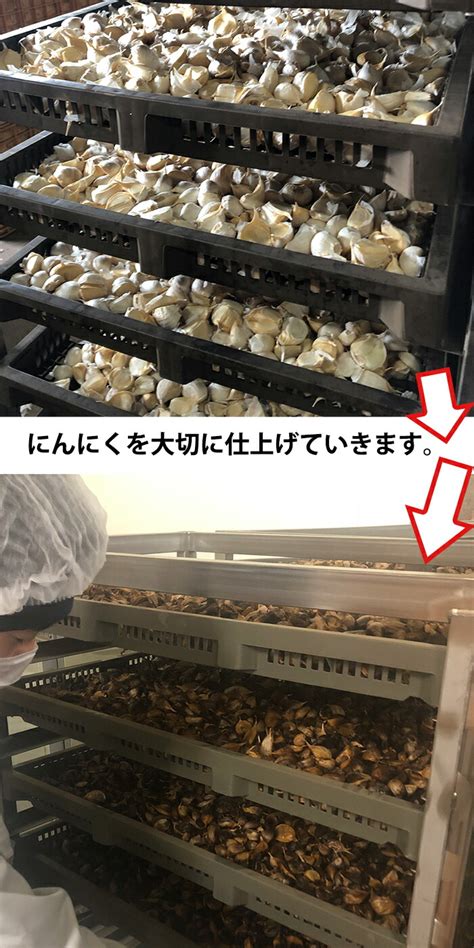 【楽天市場】黒にんにく 訳あり M玉 【3個7個14個30個】 黒ニンニク 青森県産にんにく 福地ホワイト六片種 国産 農家の誇り波動