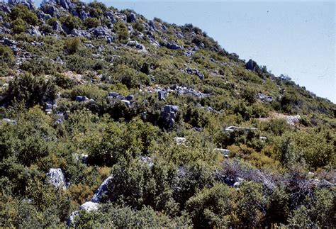 Trysa • Konumu Fotoğrafları Ve Hakkındaki Bilgiler • Kültür Envanteri