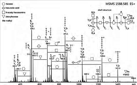 Esi Tof Ms Ms Spectrum Of The Borohydride Reduced B Fragilis O Glycan