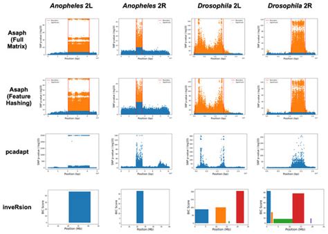 Fast Low Memory Detection And Localization Of Large Polymorphic Inversions From Snps Peerj