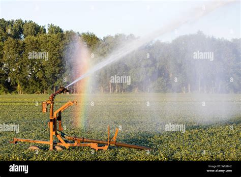 Water Being Sprayed At A Field Because Of Drought In Summer