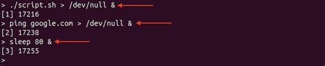 Unix Disown Command