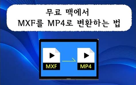 맥에서 MXF를 MP4로 변환하는 무료 방법