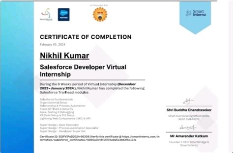 Nikhil Kumar On Linkedin Smartinternz Salesforce