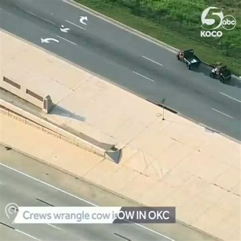 Wayne On Twitter RT CitizenFreePres This Video Isn T New But It