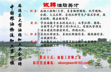 大豆浓缩蛋白简介