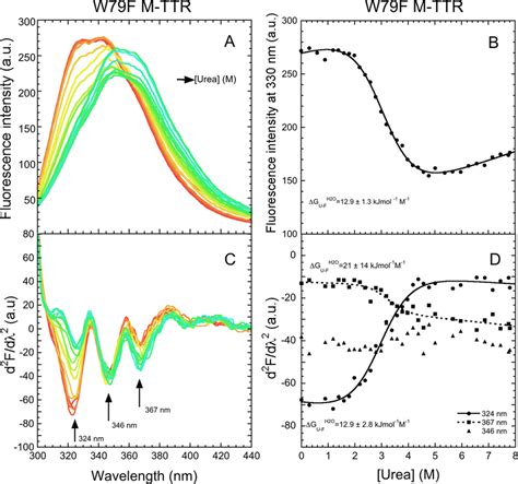 Equilibrium Urea Unfolding Of W79f M Ttr A Fluorescence Spectra At
