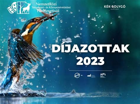 Preisverleihung Beim Internationalen Natur Und Umweltfestival