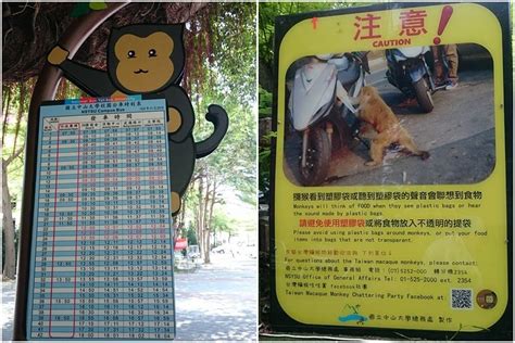 中山大學新生訓練 認識校猴校犬 社團法人中華民國保護動物協會