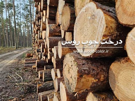 چوب روسی انواع چوب روسی و کاربرد های آن Wood Color