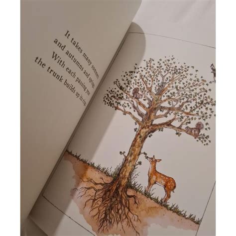 現貨贈音檔獲獎精裝英文繪本it Starts With A Seed詩意押韻字迷人插圖🍀講述種子到大樹的過程生命循環 缺書店【英文童書繪本專賣】請購物時加line