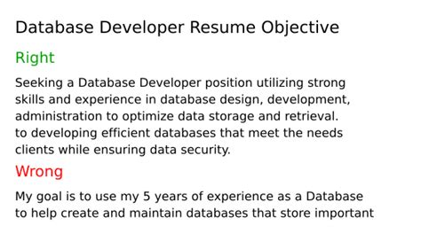 Top 17 Database Developer Resume Objective Examples